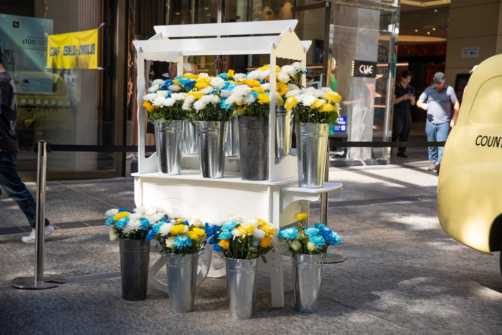 Road Safety Awareness | RACQ