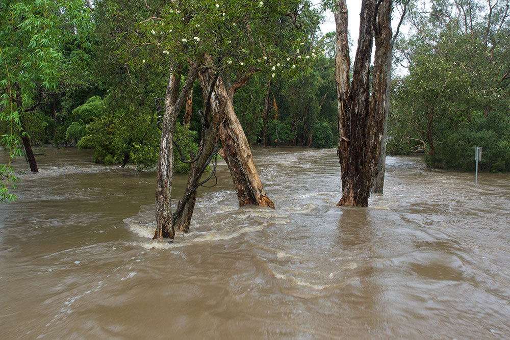 RACQ on the ground in flood-impacted FNQ | RACQ
