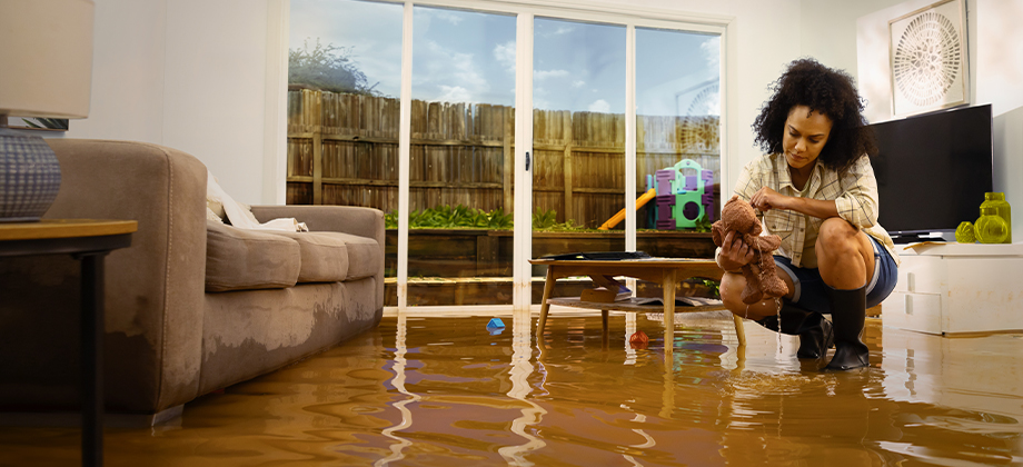 Home Insurance Calculator | Estimate House Insurance Costs | RACQ